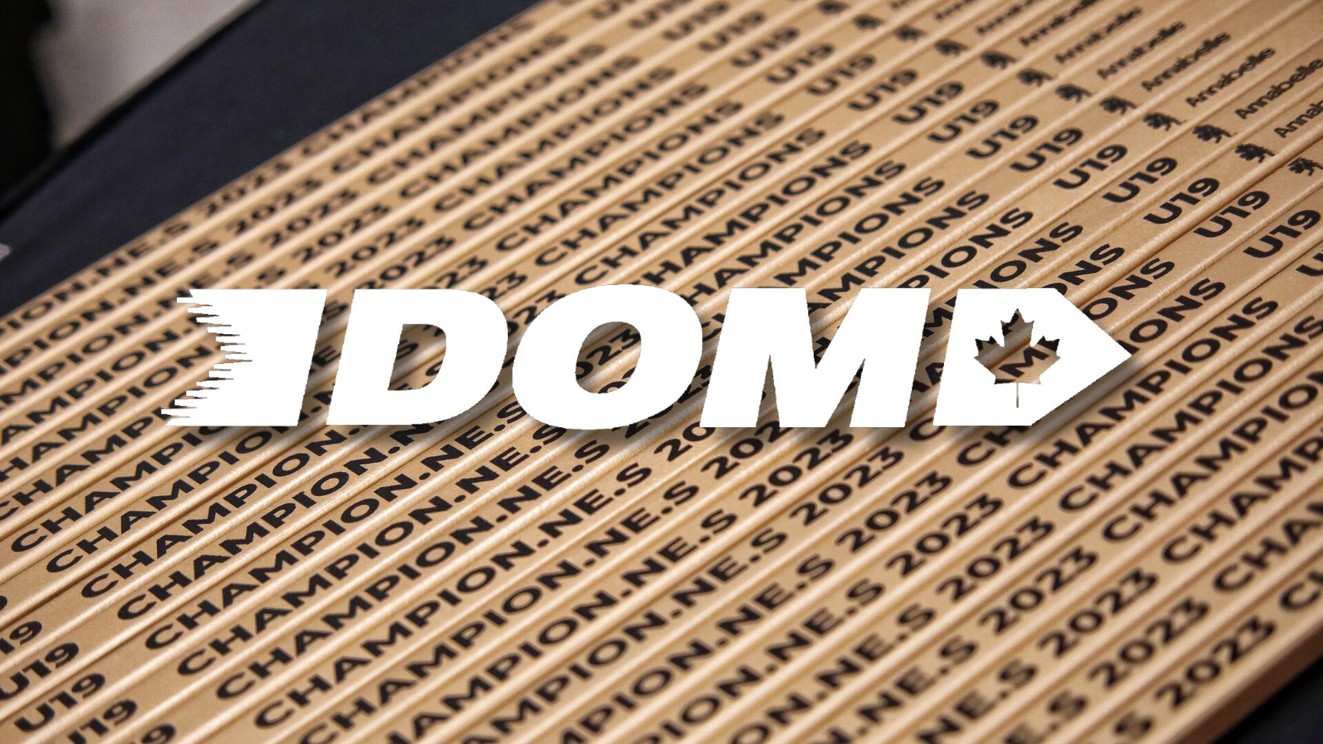 The Golden Sticks have arrived! | Ringette Canada