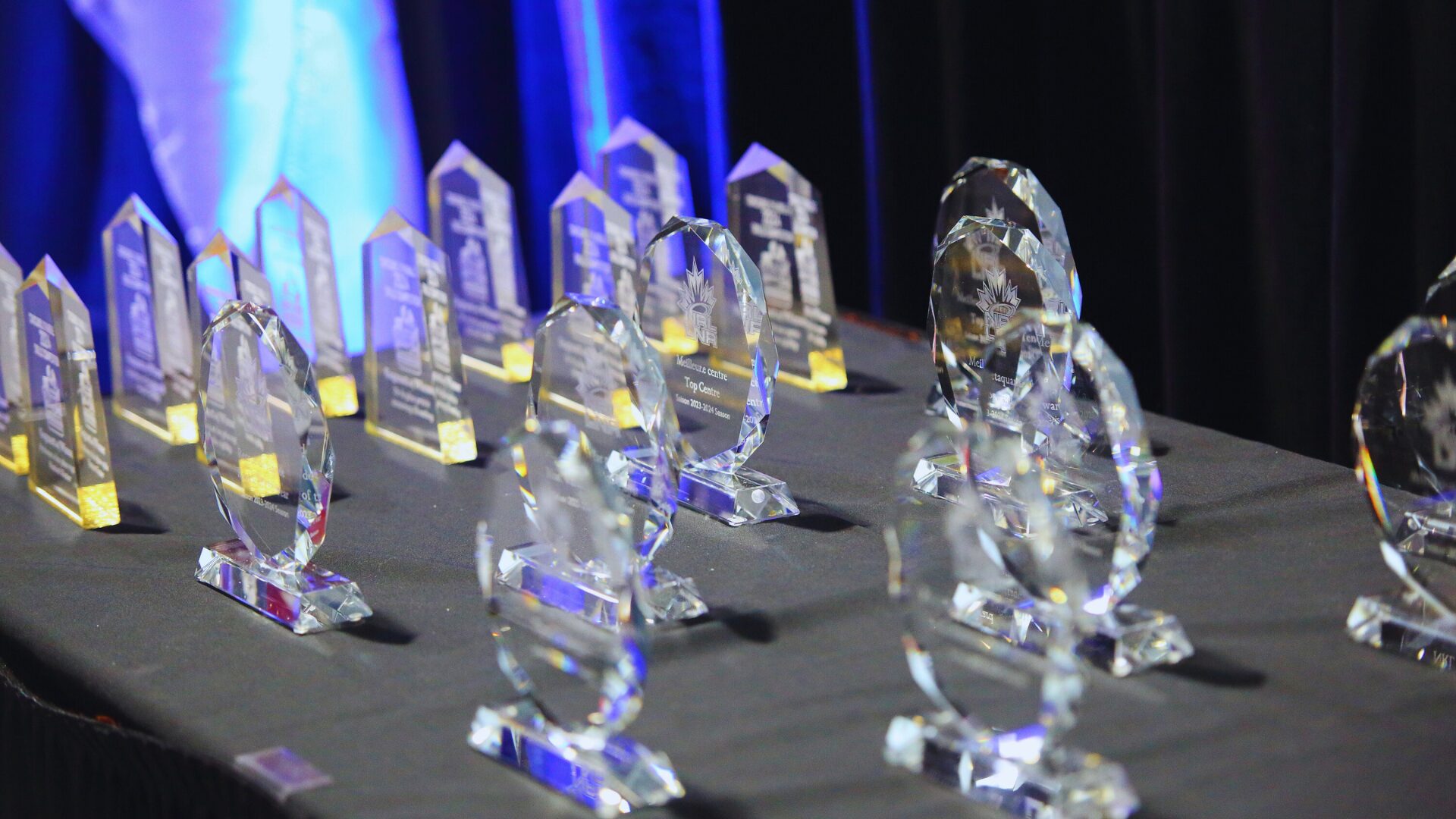 2024 NRL Award Winners & Finalists | Ringette Canada