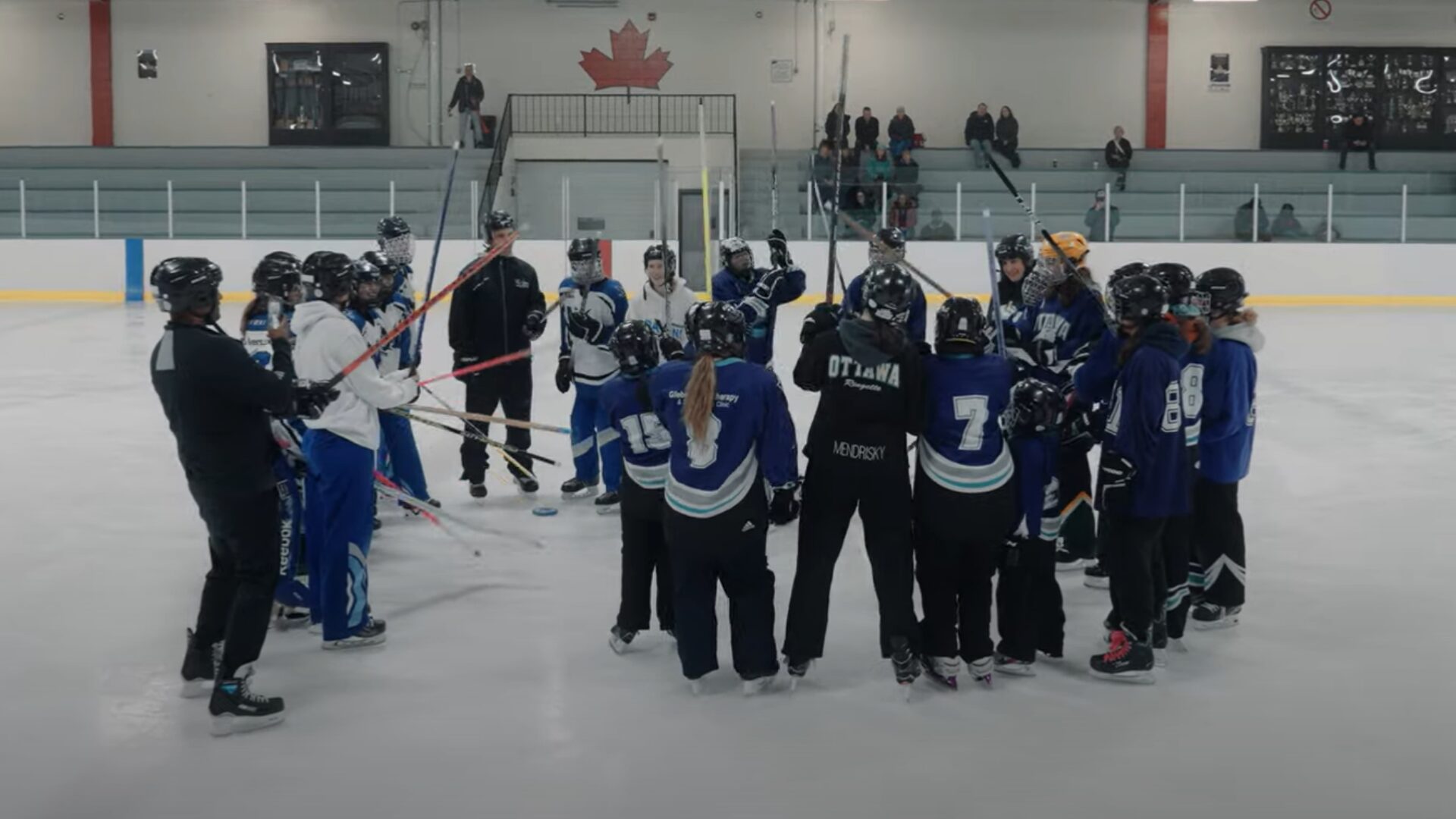 What is Mixed Ability Ringette? | Ringette Canada